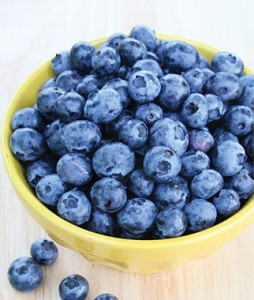Hannah's Choice Blueberry Plants | Garden Seeds and Plants