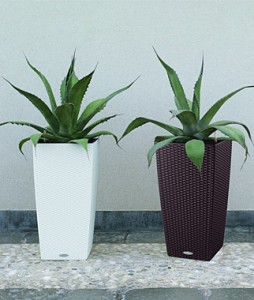 Cubico Cottage 40 Self Watering Planter | Garden Seeds and Plants