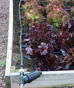 Irrigation Kit - Row Crops | Garden Seeds and Plants