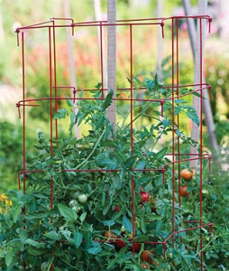 XL Pro Series Cage - Red | Garden Seeds and Plants