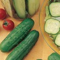 Cucumber Sweeter Yet Hybrid | Garden Seeds and Plants