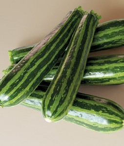 Squash Summer Green Tiger Zucchini Hybrid | Garden Seeds and Plants