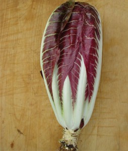 Radicchio Red Treviso | Garden Seeds and Plants